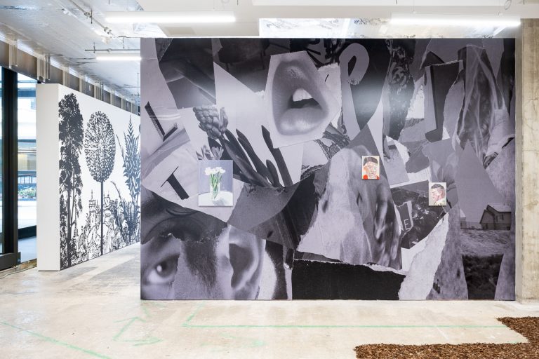 Installations - DAVID LOCK